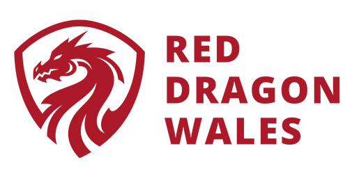 The Red Dragon in Medieval Welsh Heraldry